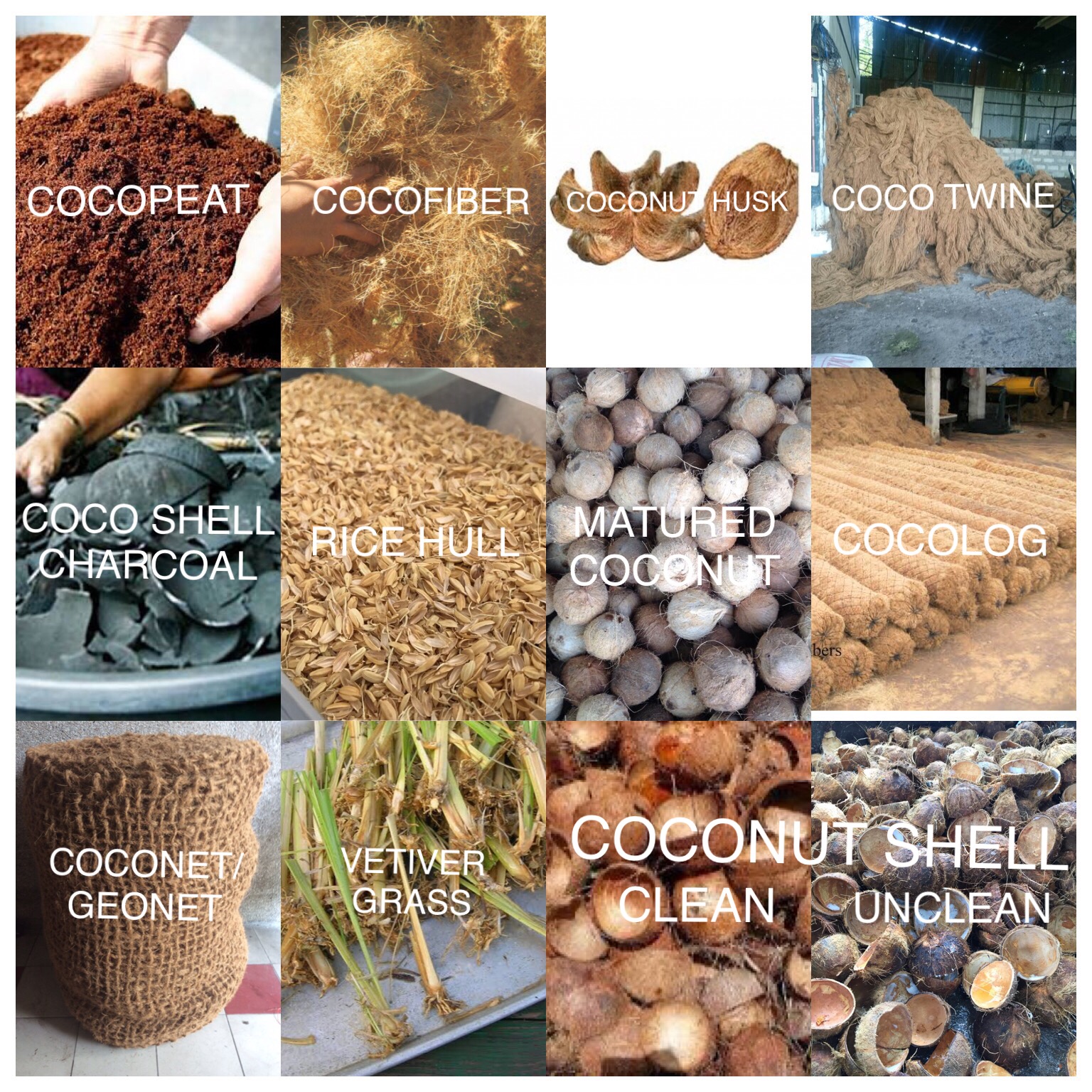 Cocopeat|Fiber|Net|Log|Shell|Husk: About Us