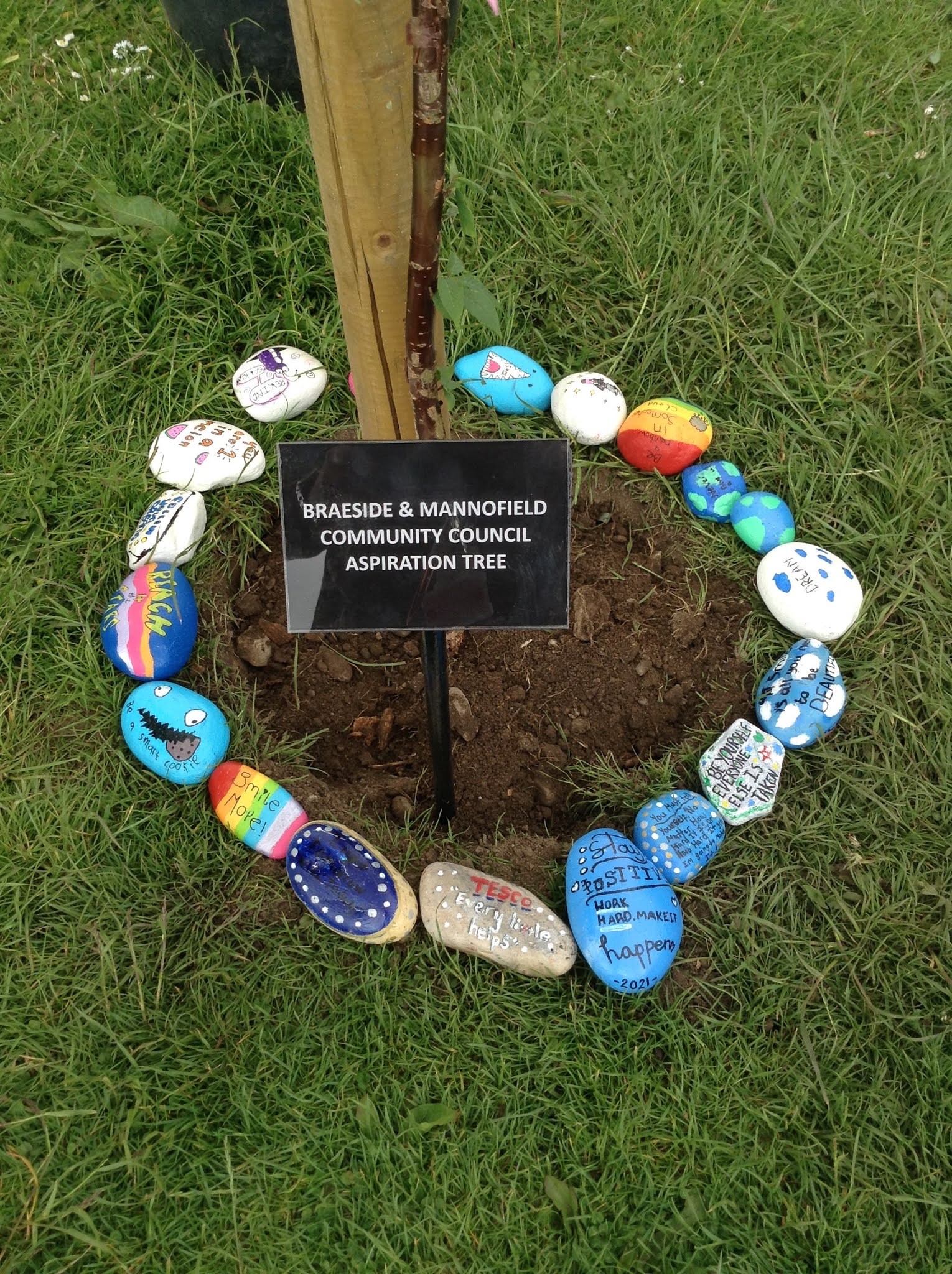 Airyhall Primary School Aspiration Tree - Braeside and Mannofield ...