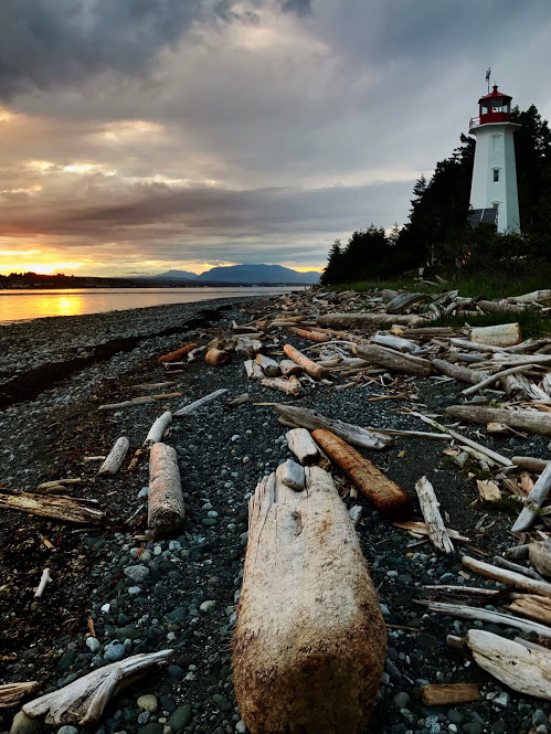 The Freelance Adventurer : 2019