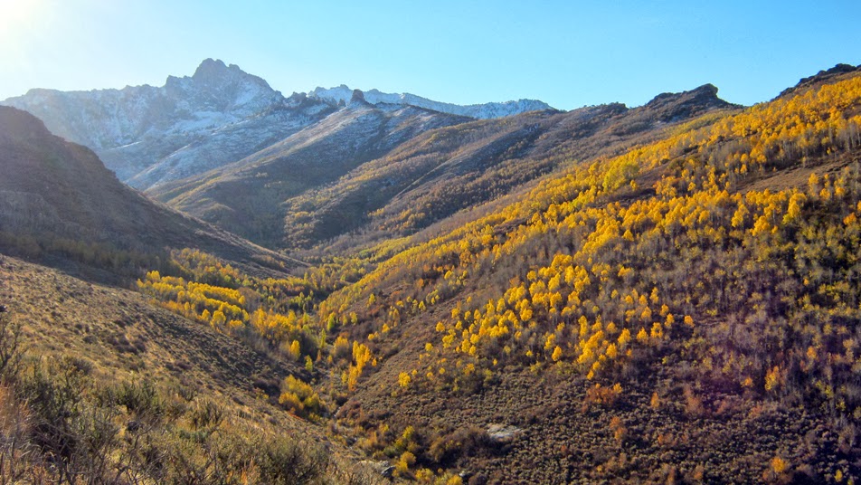 Ruby Mountain Trails: Cold Lakes