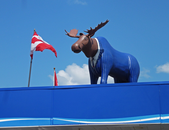 Occasional Toronto: Moose In A Suit