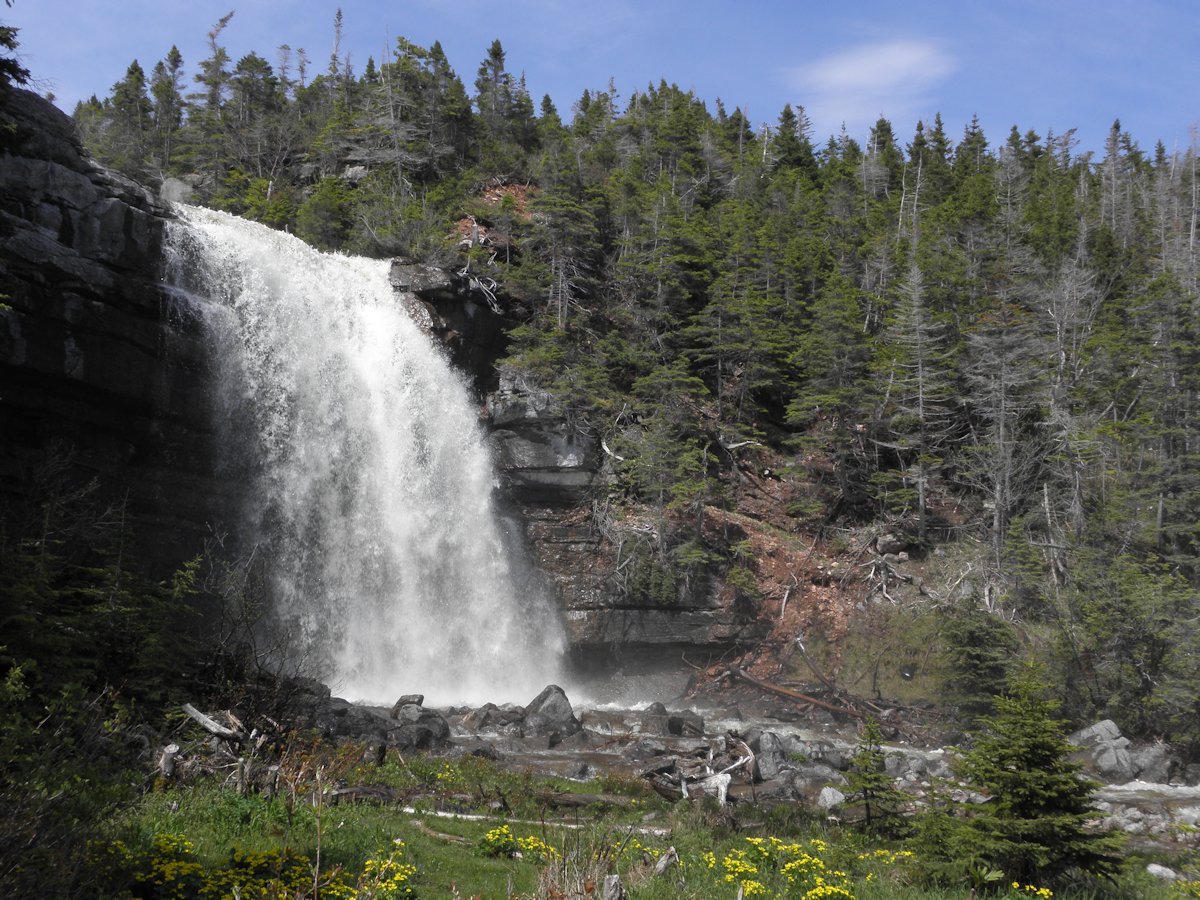 Newfoundland Tourist Information: Newfoundland Waterfalls