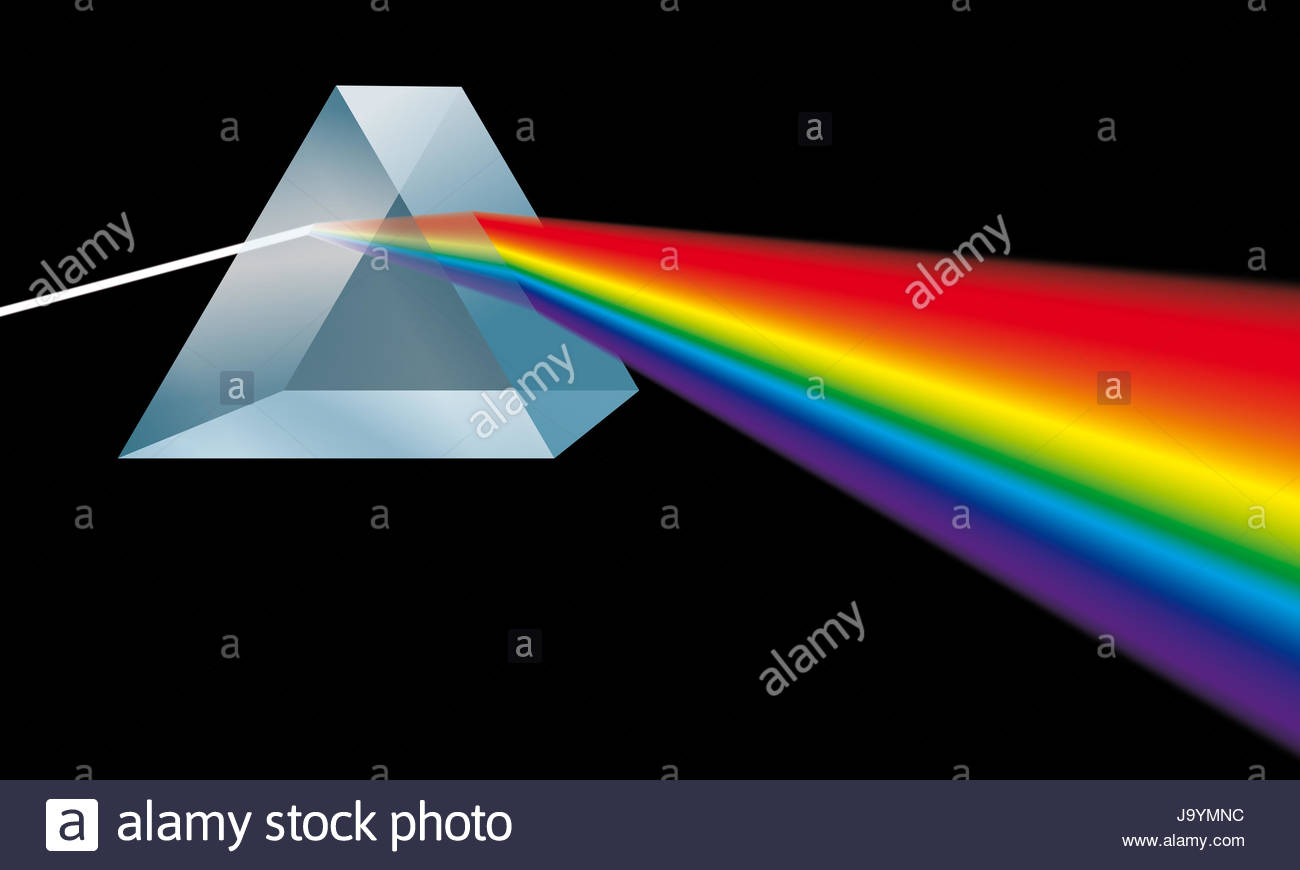 violetas: LA ÓPTICA