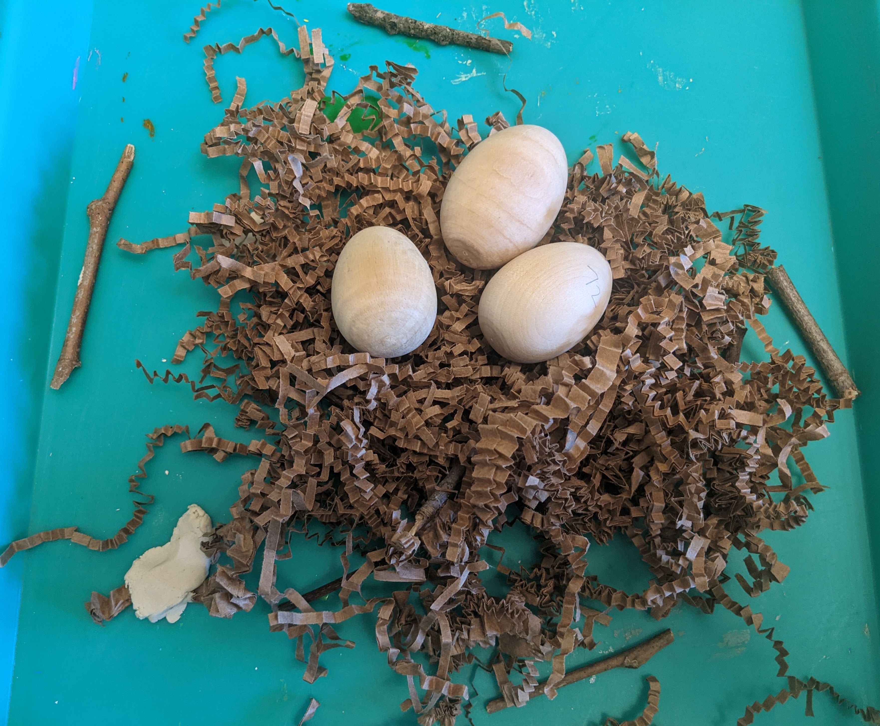 Build a Nest STEM Activity with 'The Perfect Nest' - Cardboard Mom