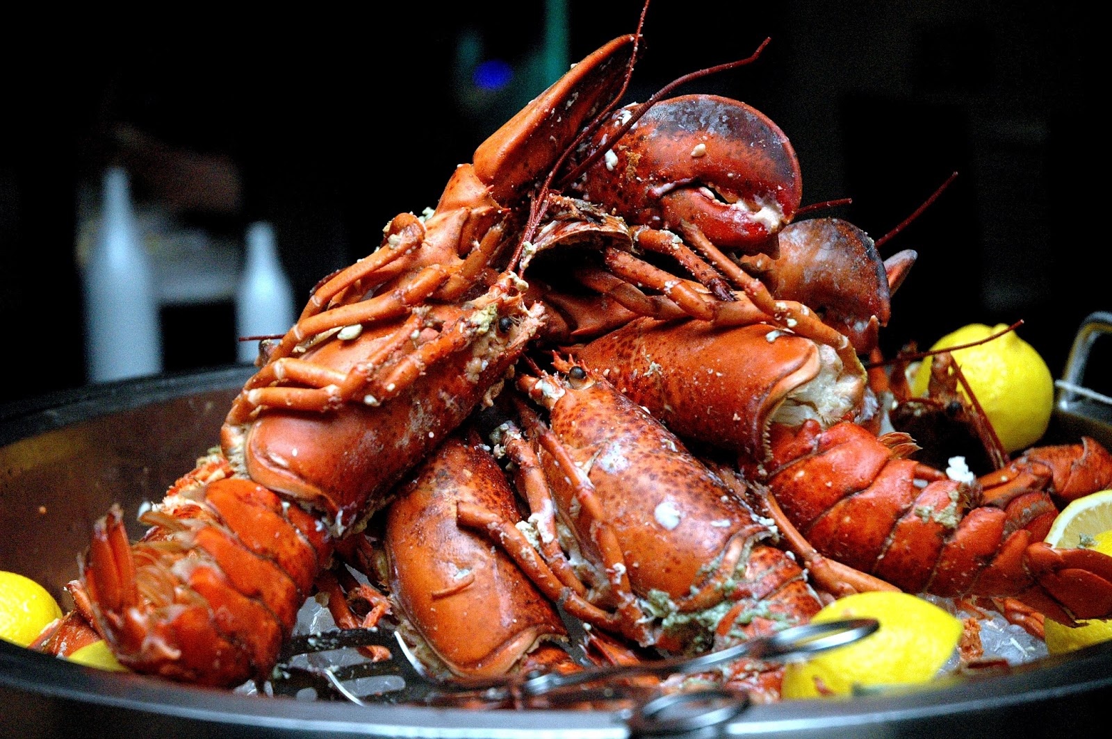 DUDE FOR FOOD: Lobster All You Want with Lobster Mondays at Marriott Cafe
