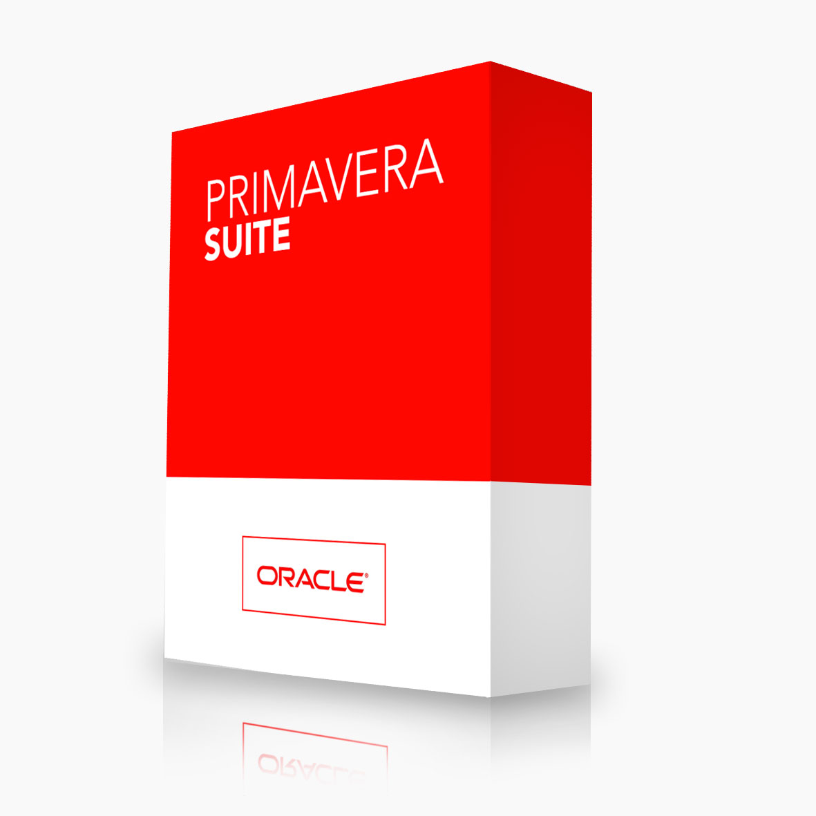 CIVIL INFO: ABOUT PRIMAVERA P6 V8