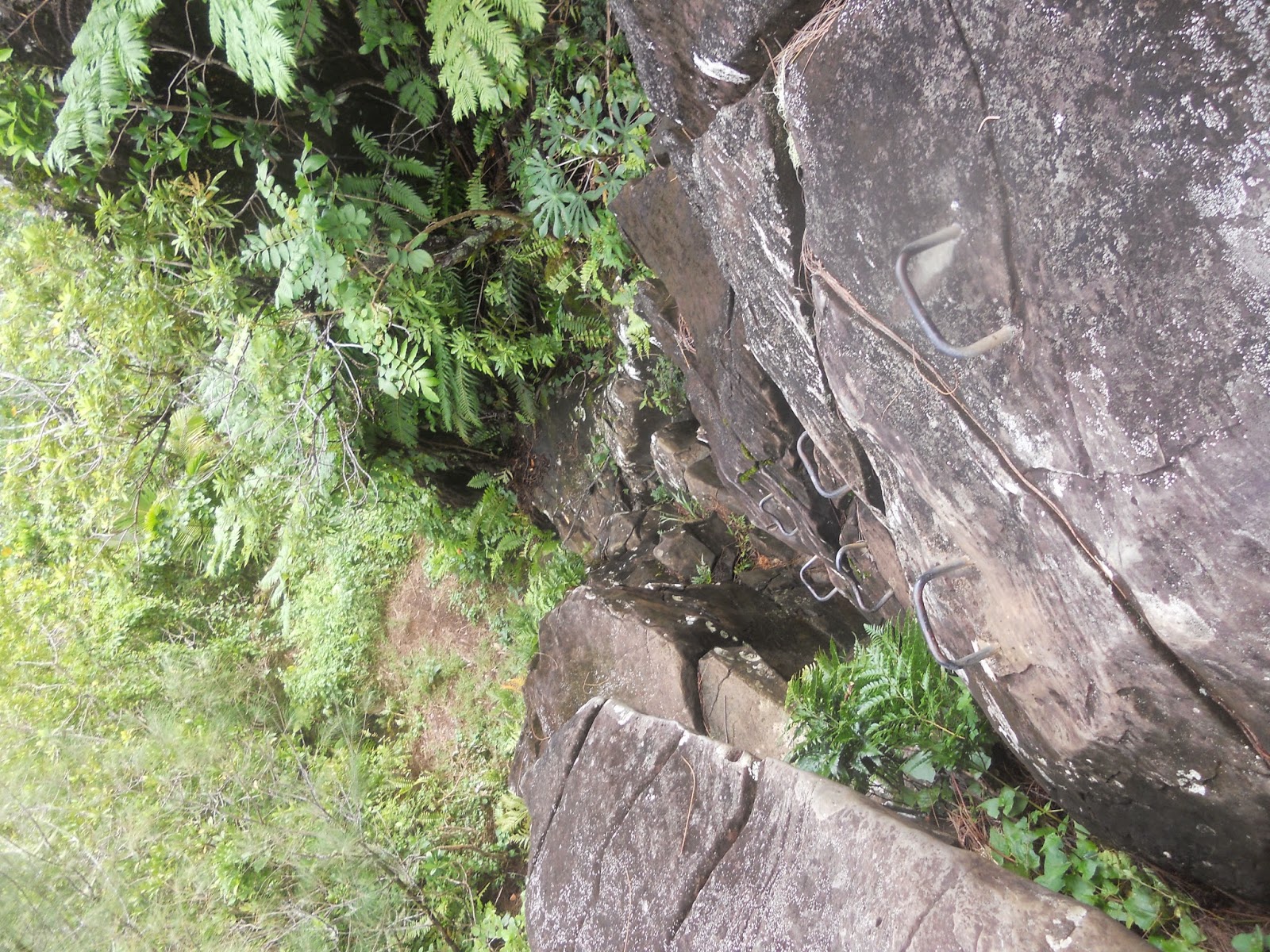 Another Day in New Zealand: Rarotonga Hike - Raemaru Heights Lookout