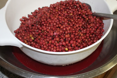 Chokecherry Jelly Recipe - A Ranch Mom