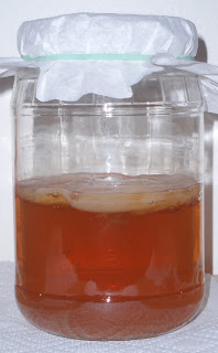 Kombucha Fuel