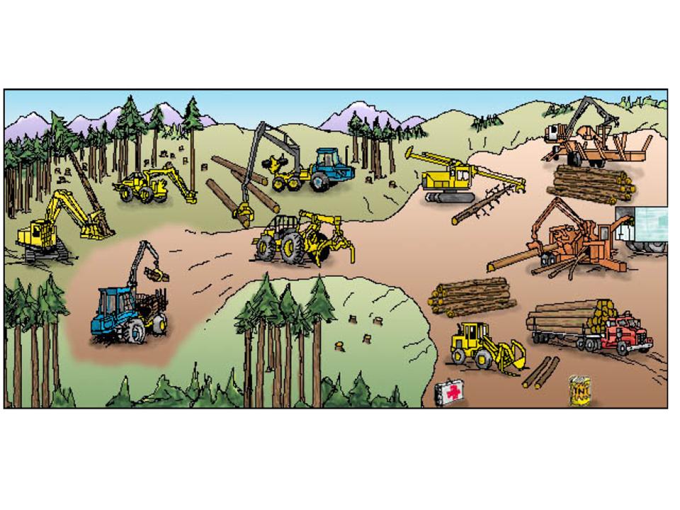 LOS RECURSOS DEL BOSQUE: LA SACA DE LA MADERA O DESEMBOSQUE