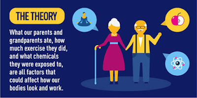 Weighty Matters: An Interesting Twist to the Epigenetic Theory of ...