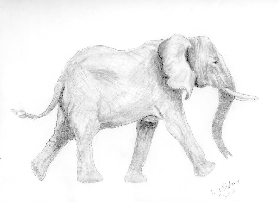 Wendy Caston Art: "Elephant Walking"