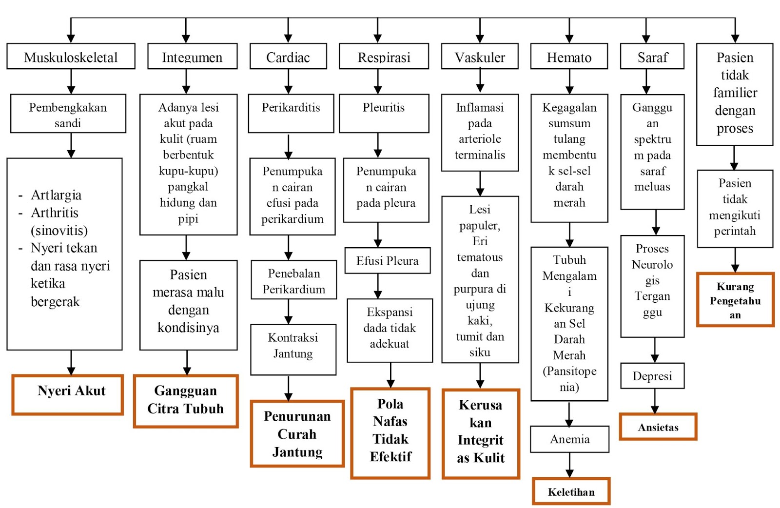 Andi Printing Legian: WOC : SYSTEMIC LUPUS ERYTHEMA TOSUS (SLE)