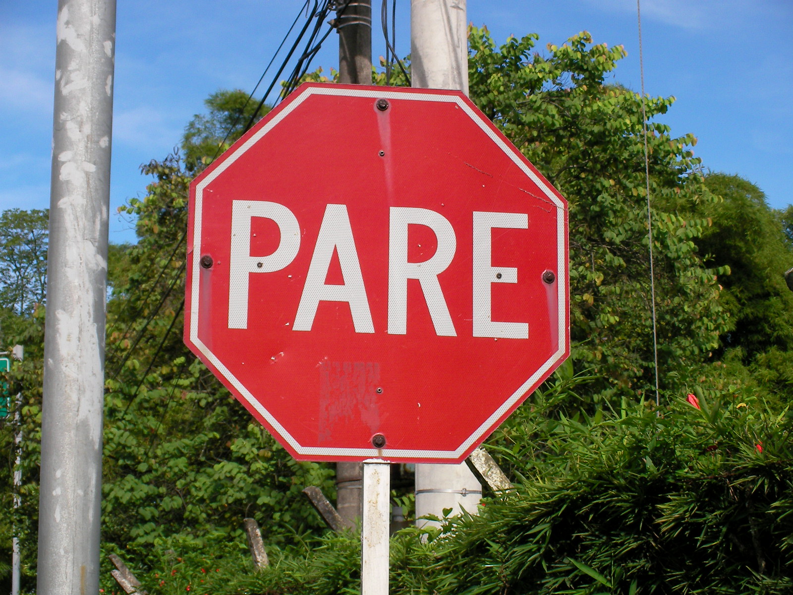 Galicia en Puerto Rico: PORQUE EL VOTO HISPANO ES IMPORTANTE