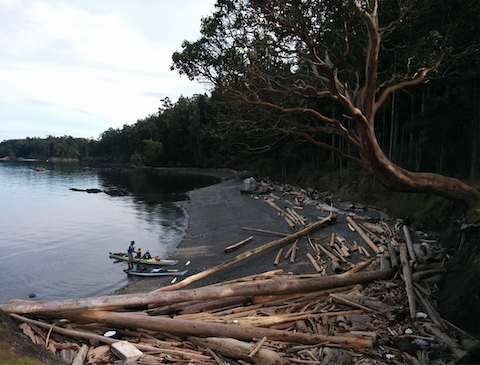 Salish Sea News and Weather: 2/21 Gooch Is., imidacloprid, 'underwater ...