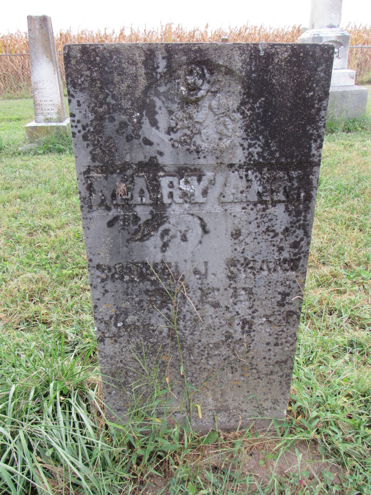 A Walk Through The Tombstones: Hamner Cemetery