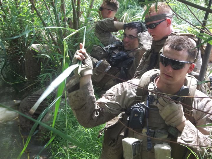 "America's Battalion" 2/8 Golf Co.: 2/8 Golf