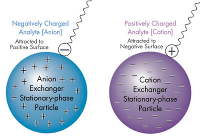 Bio-Resource: Ion Exchange Chromatography Principle