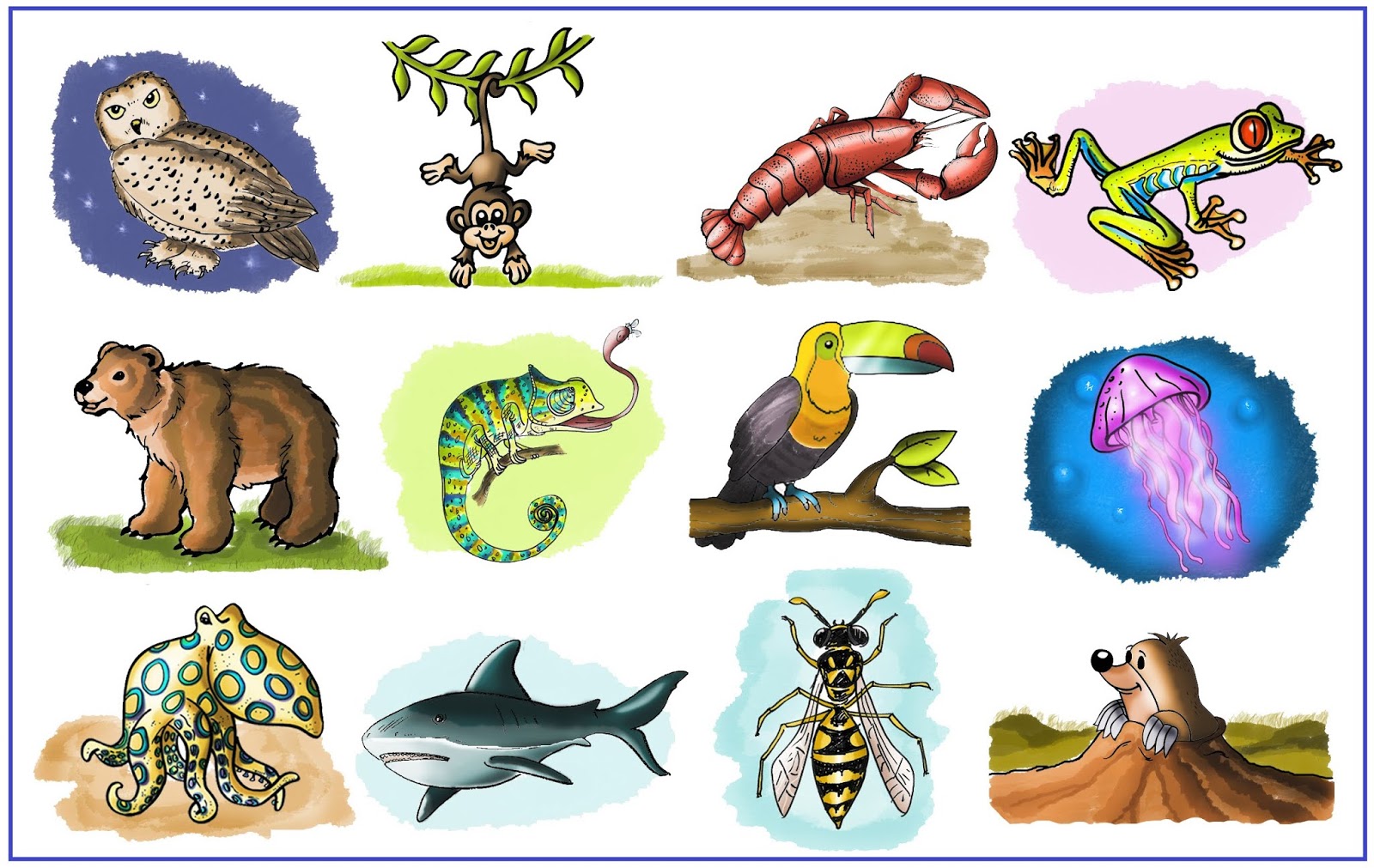 El Monstruito en Monteagudo: Los animales. Tarjetas de vocabulario.