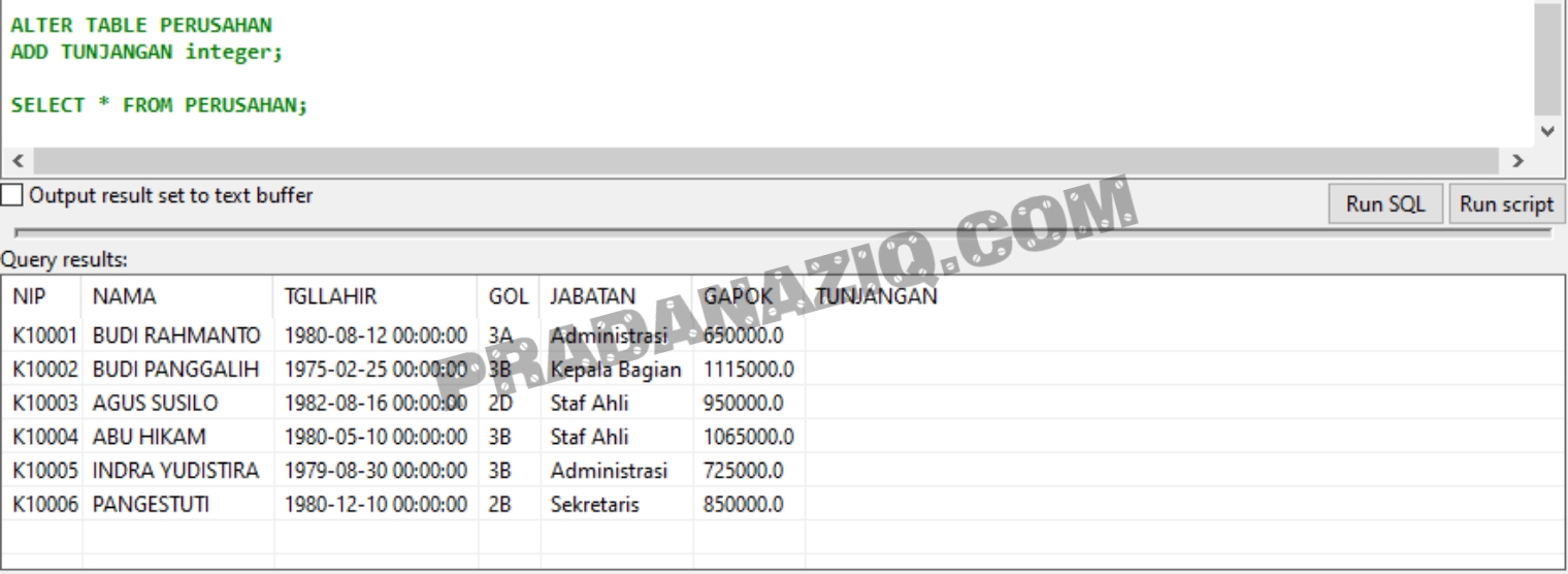 Tambah Edit Hapus Data & Tambah Hapus Kolom - ODBC SQL Quary - Pradanaziq