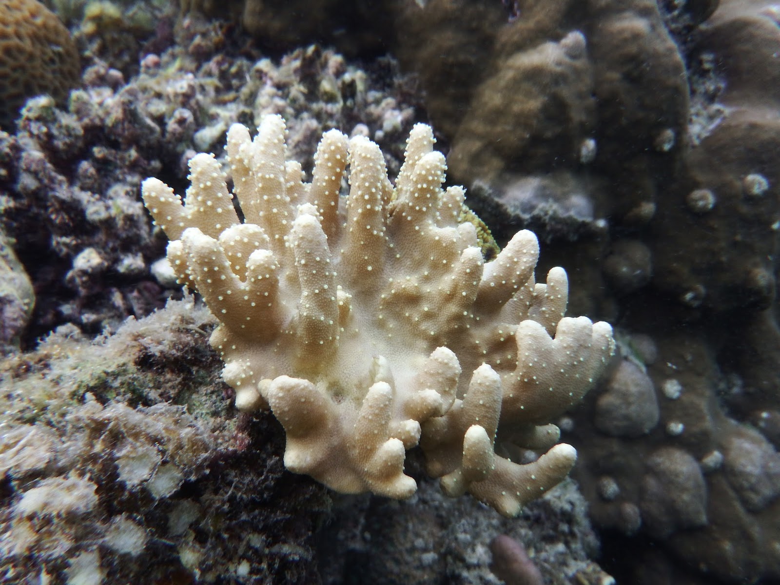 Travel: Exploring Nature: San Salvador & Magalawa Island