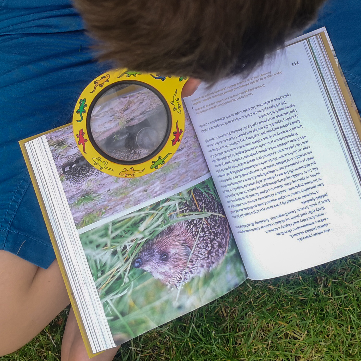 Adam Wajrak, Nuria Selva Fernandez, Kuna za kaloryferem [Agora]