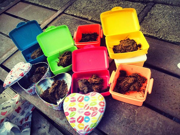 You Can Now Anonymously Send Poop To Your Enemies | Things You Need To ...