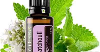 Salud Alternativa: Aceites esenciales: Patchouli (Pachulí) Pogostemon ...