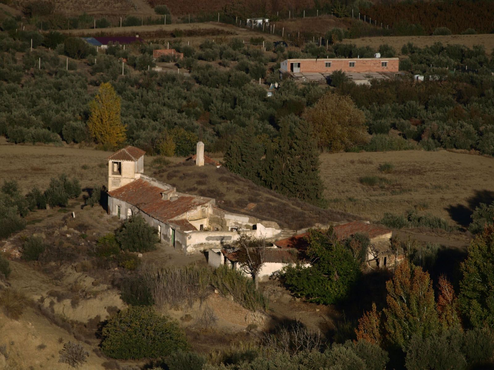 Caminando por Sierras y Calles de Andalucía: Cárcavas (Marchal y ...