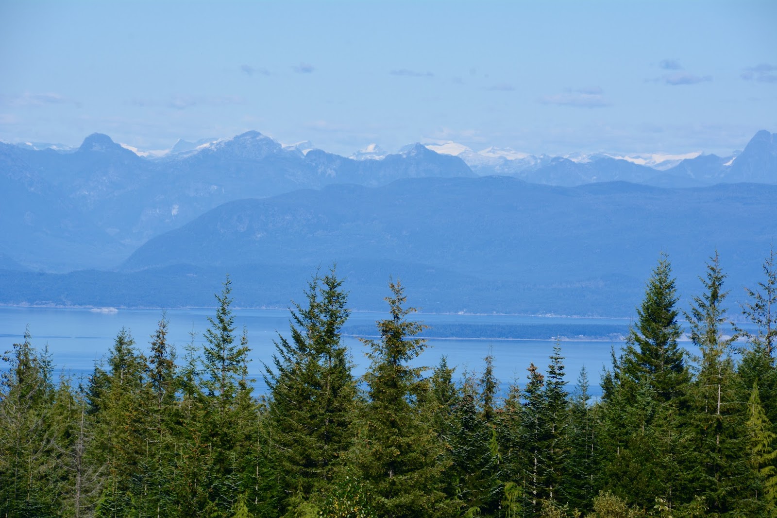 venturing4th: Hiking the Forbidden Plateau in Strathcona Provincial Park