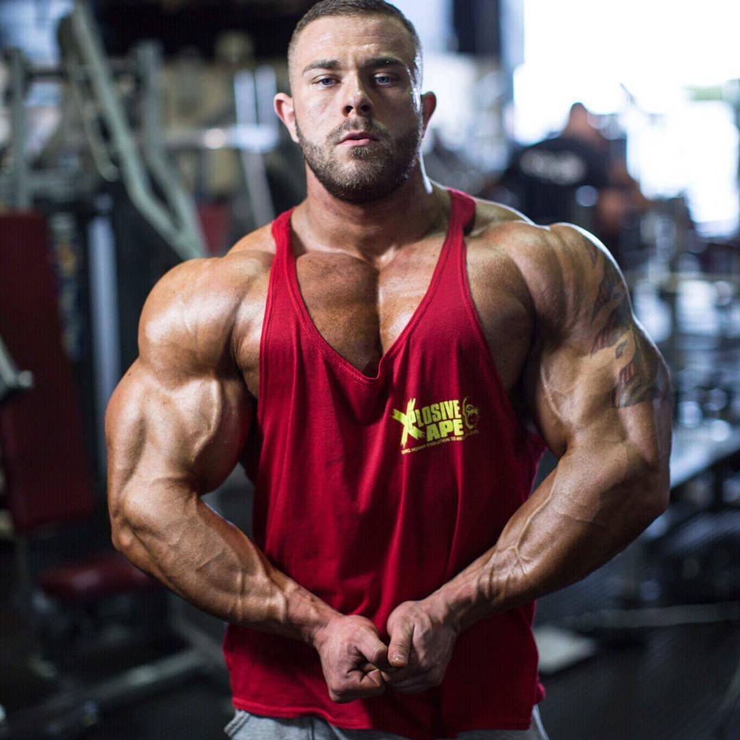 Muscle Lover: December muscle mix 2017