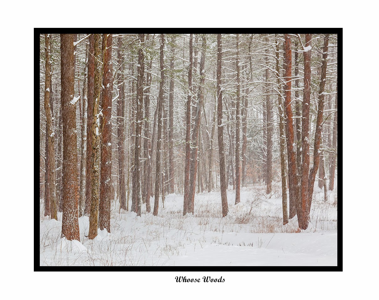 Getting it Right in the Digital Camera : Cutting the Math from Matte ...