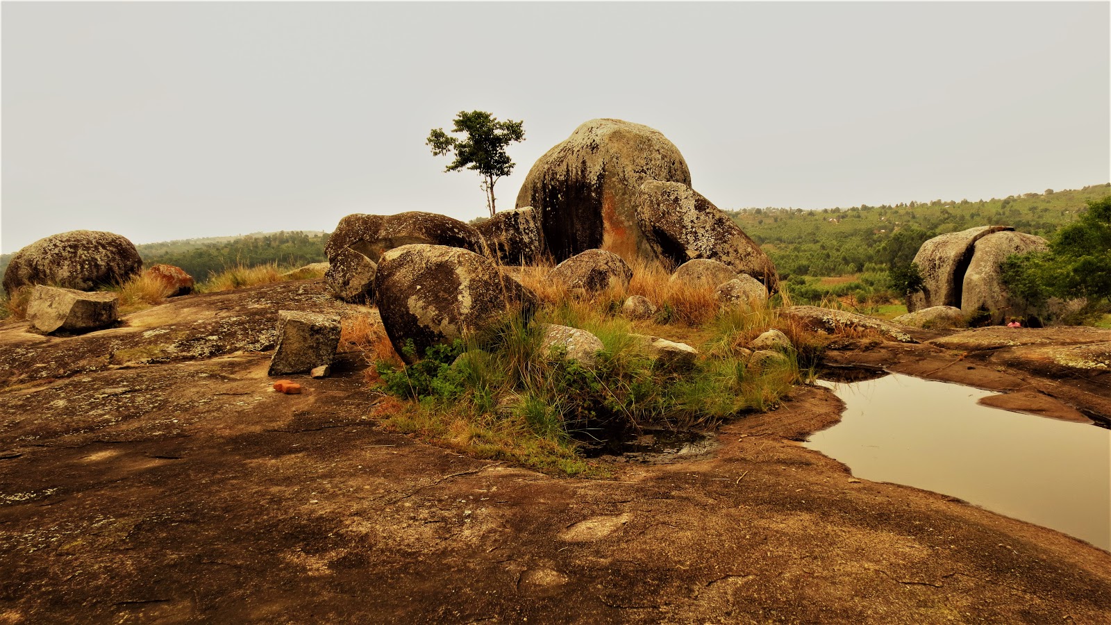 Welcome: Uganda - Fourth week