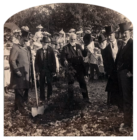 Arbor Day Letter of President Theodore Roosevelt | Thrifty Scissors