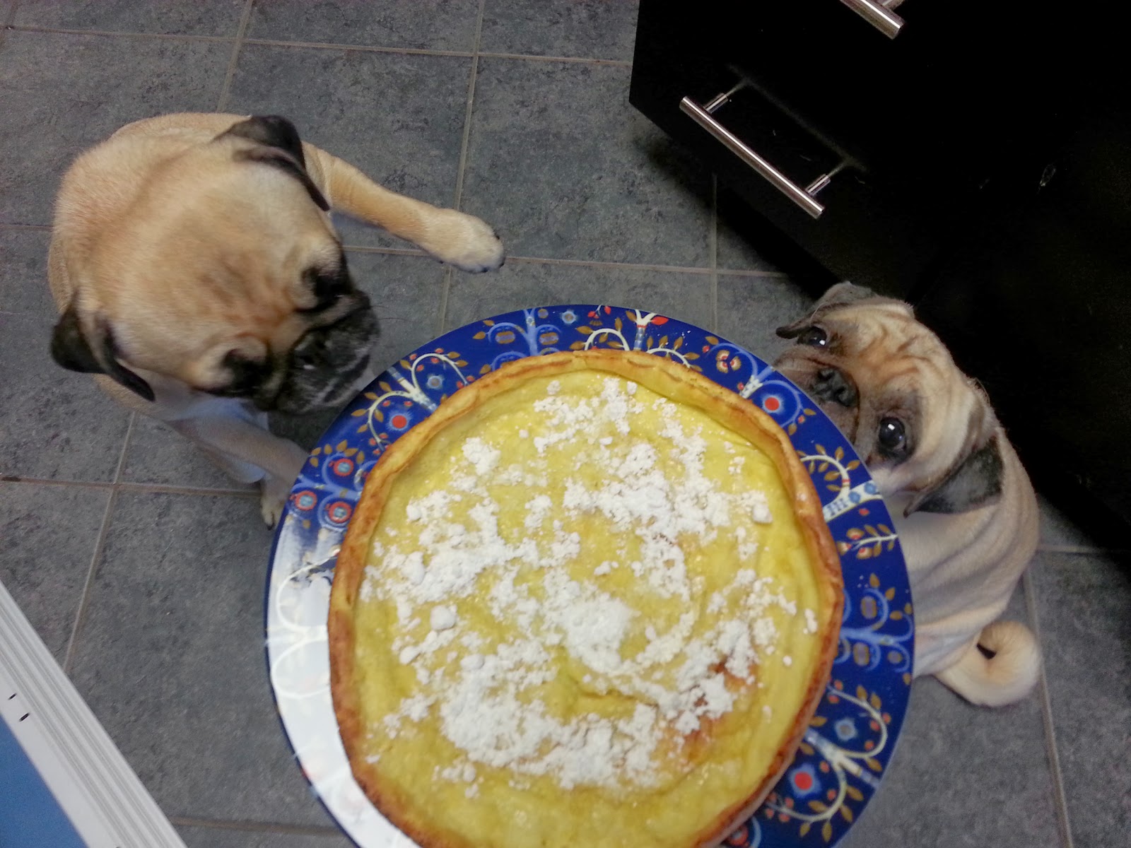 Grubbin' Pugs: Ginormous Pancake aka Dutch Baby Pancake
