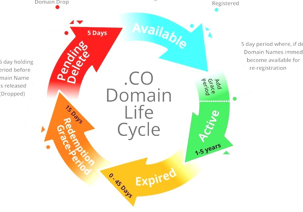 co What Is Co Domain co-what-is-co-domain