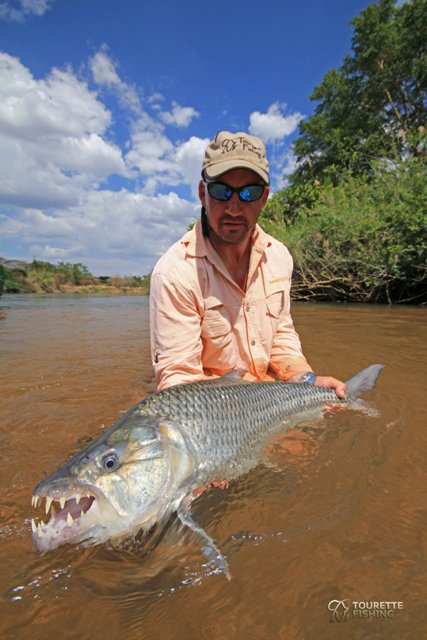 Big Fishes of the World: TIGERFISH (Hydrocynus forskahlii)