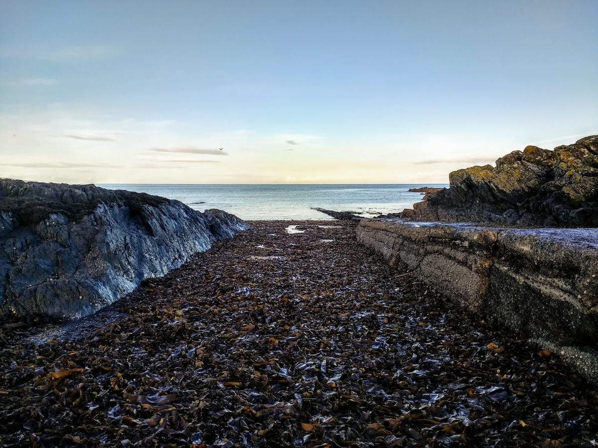 A Passion For Cards: A few photos taken at Crawfordsburn Country Park ...