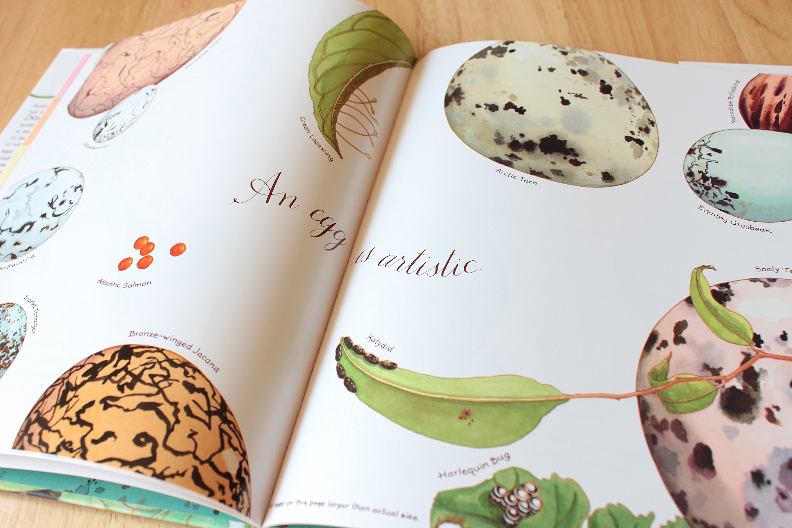 Preschool on The Farm Blog: An Egg is Quiet