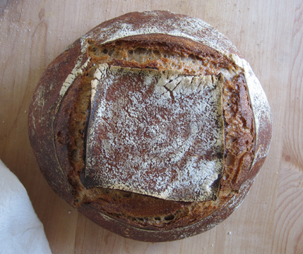 99¢ Store Proofing Basket | Root Simple