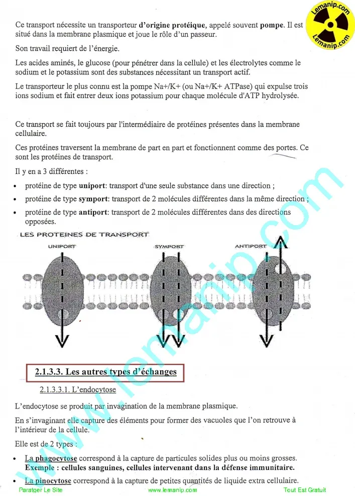 Etude Morphologique De La Cellule
