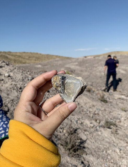 Dugway Geode Beds - light-in-leaves