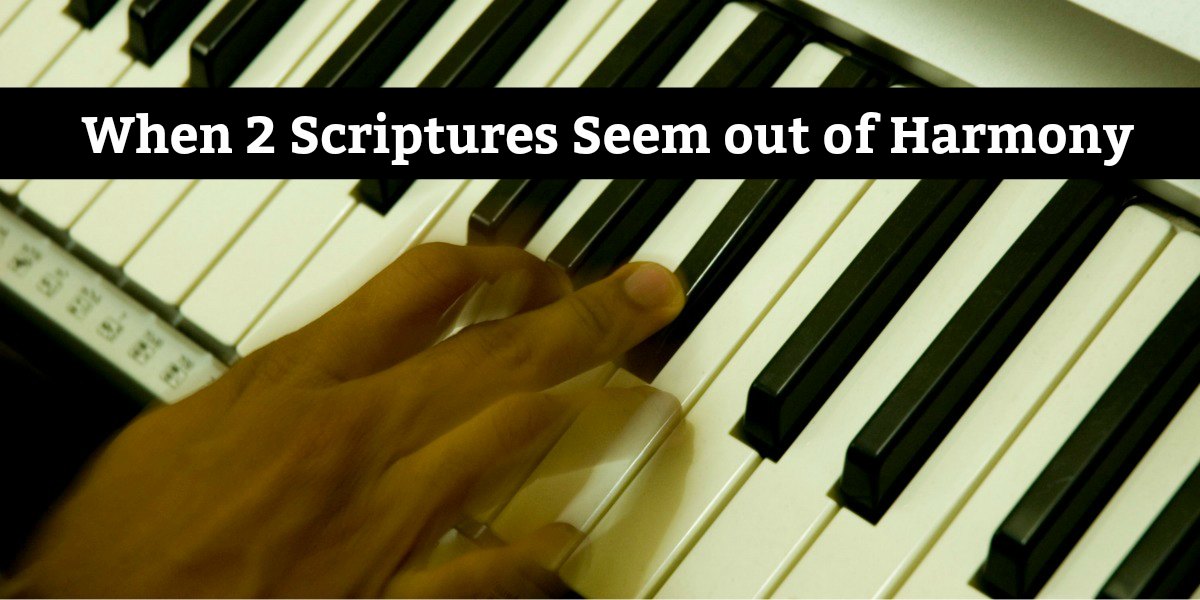 Bible Love Notes: Scripture Harmony