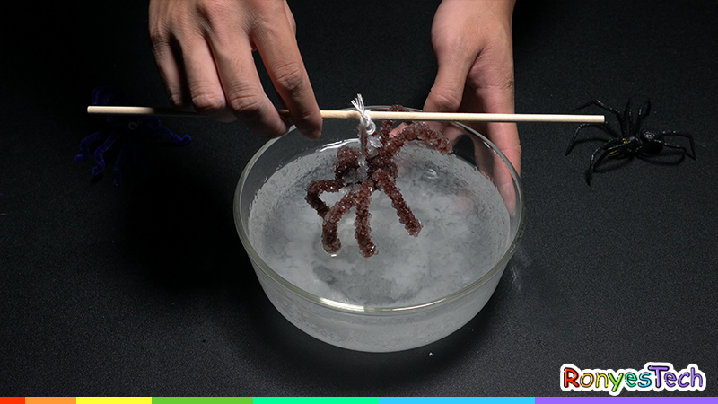 How To Grow A Halloween Spider Crystal? - Science Experiments for Kids ...