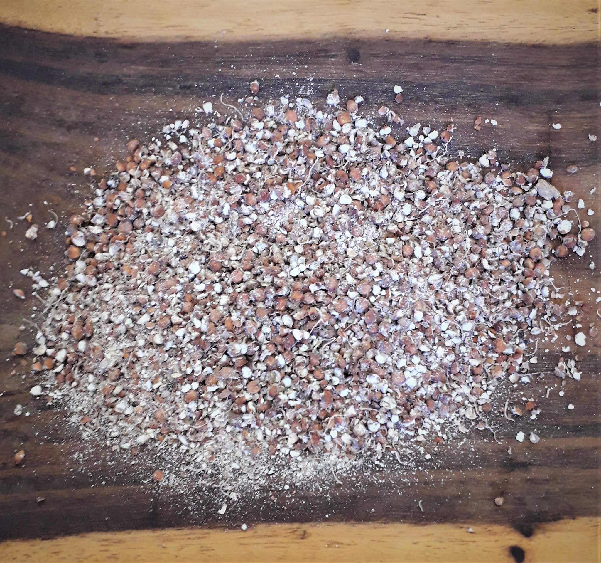 eMalangeni Forest: Zulu Beer Umqombothi at eMalangeni Forest Bush Camp