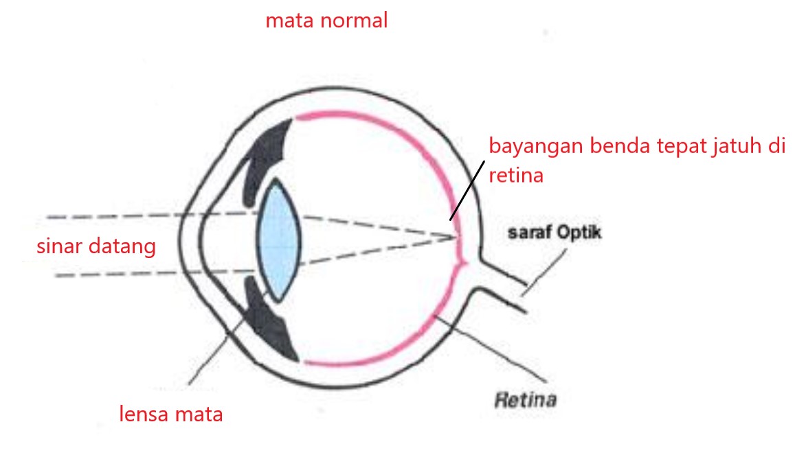 Alat-Alat optik : Pengertian, Rumus dan contoh Soal Penyelesaian ...