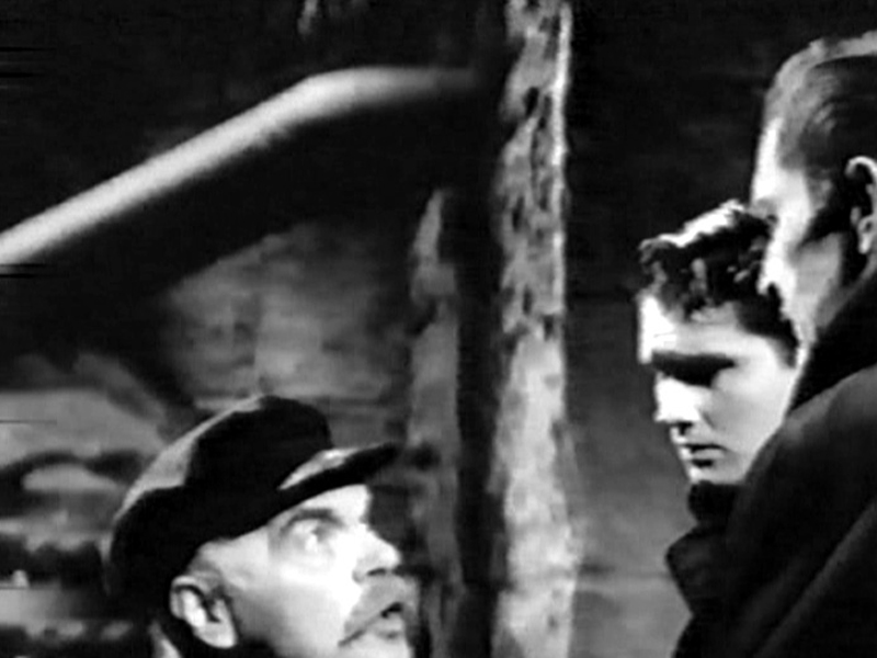 13: RETURN OF THE FLY / 20th Century Fox - 1959 / Music by Paul Sawtell ...