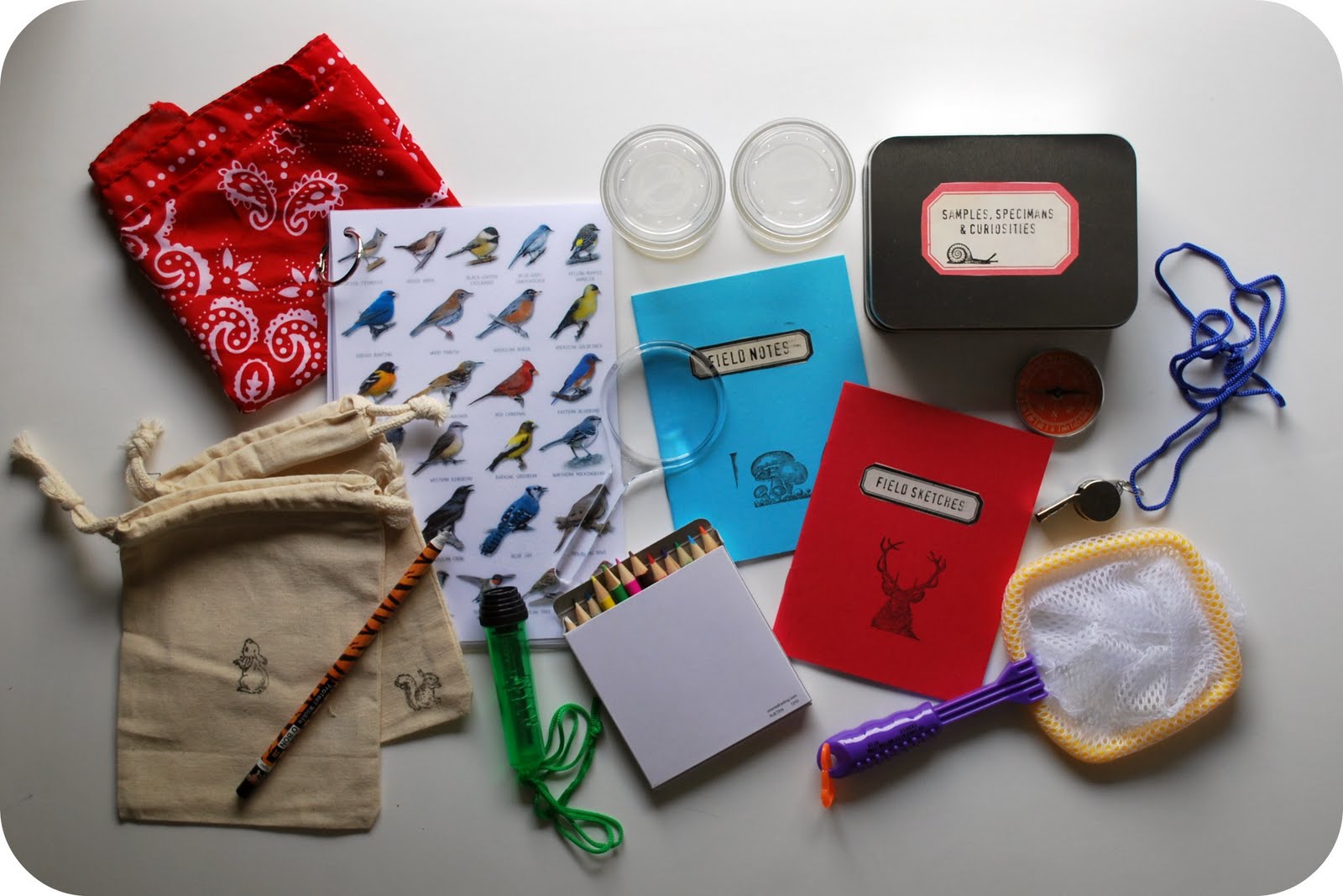 Chez Beeper Bebe: Make This: Nature Explorer Bag