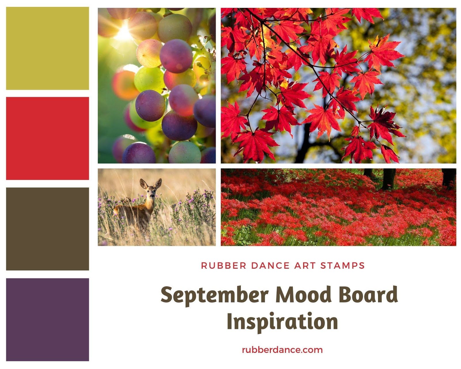 MORE SEPTEMBER INSPIRATION