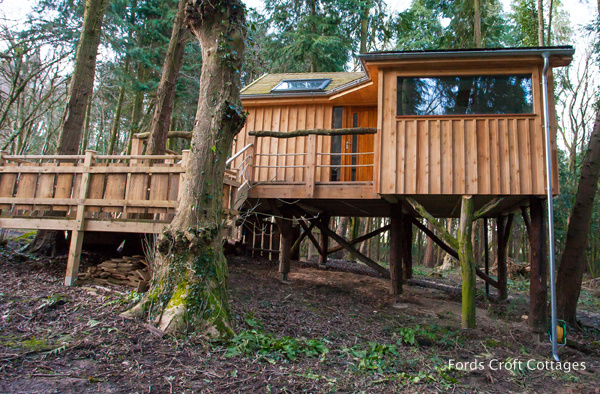 TINY HOUSE TOWN: The Bird: a Luxury Treehouse
